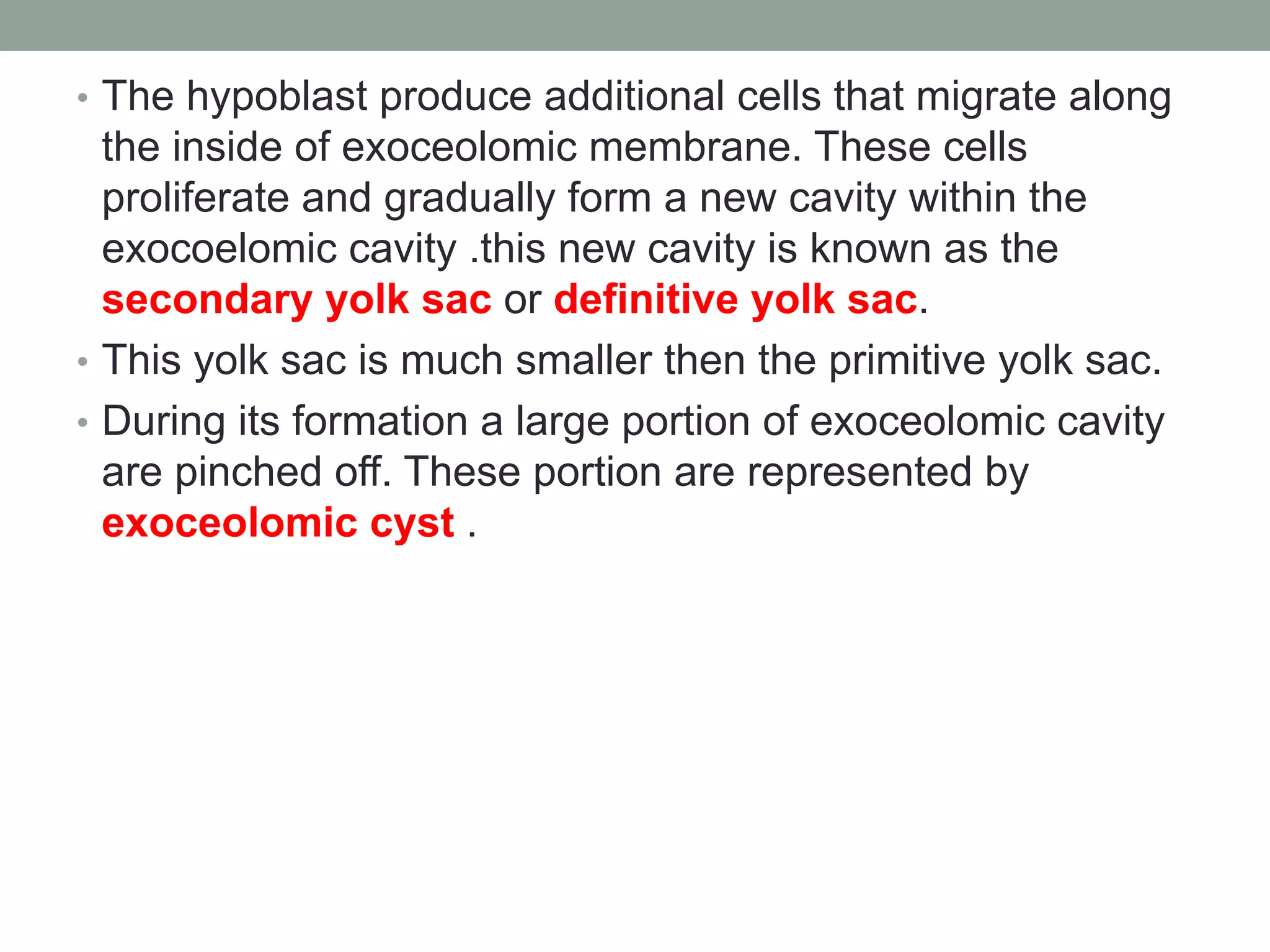 2nd week of development.pdf