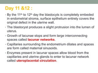 2nd week of development.pdf