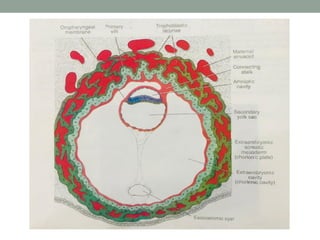 2nd week of development.pdf