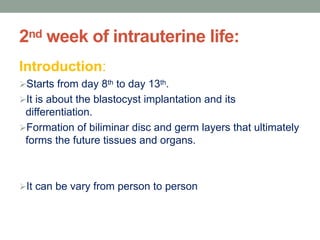 2nd week of development.pdf