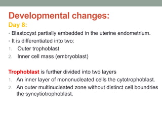 2nd week of development.pdf