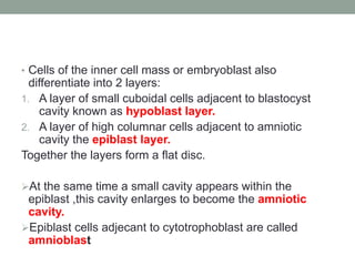 2nd week of development.pdf