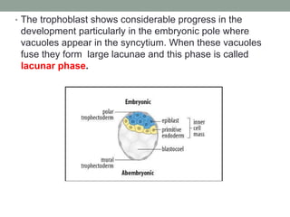 2nd week of development.pdf