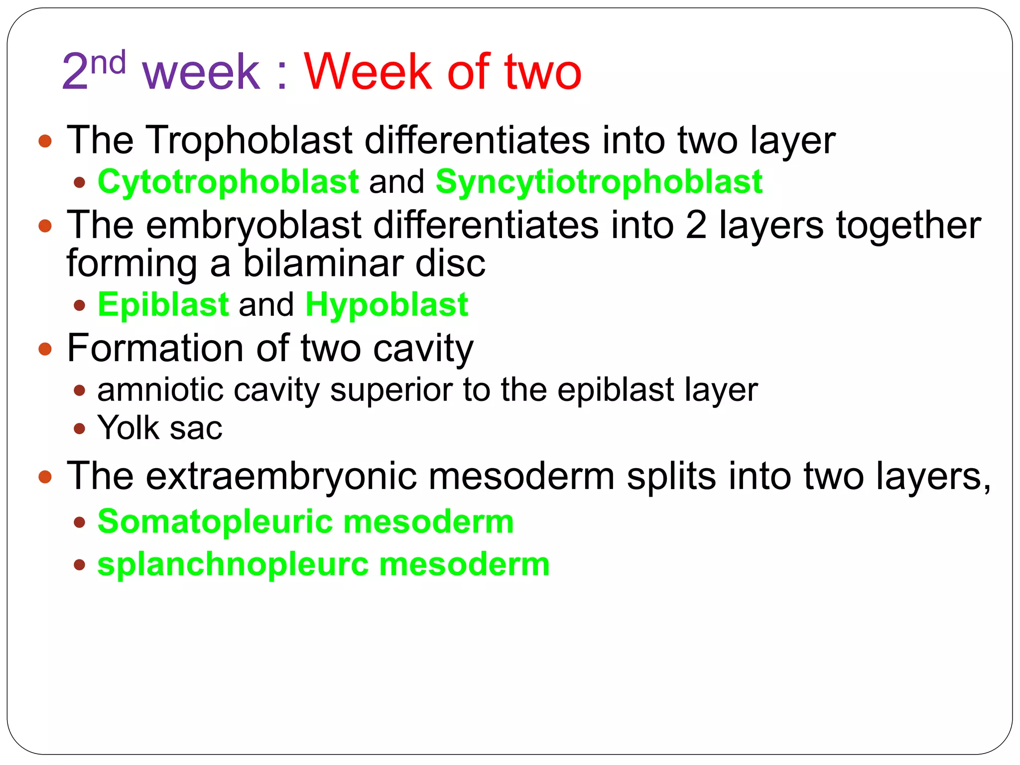 2nd week-implantation.ppt