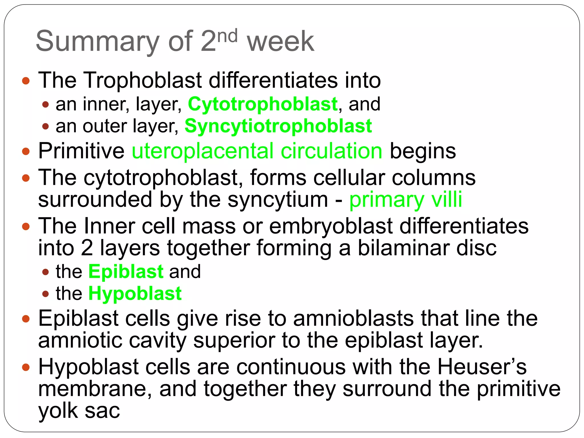 2nd week-implantation.ppt
