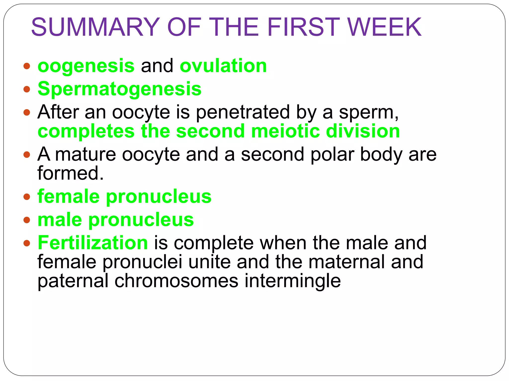 2nd week-implantation.ppt