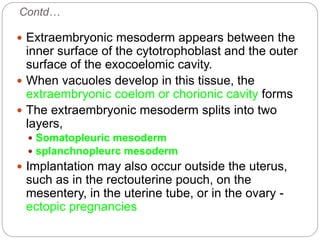 2nd week-implantation.ppt