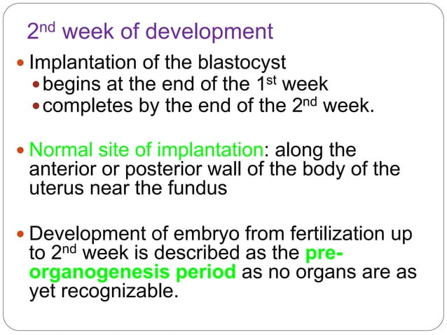 2nd week-implantation.ppt