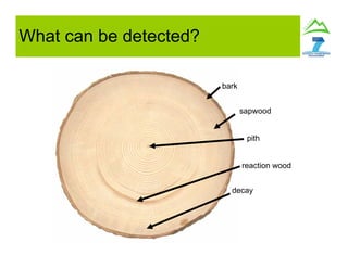 SLOPE 3rd workshop - presentation 2 | PDF | Woodworking | Arts and Crafts