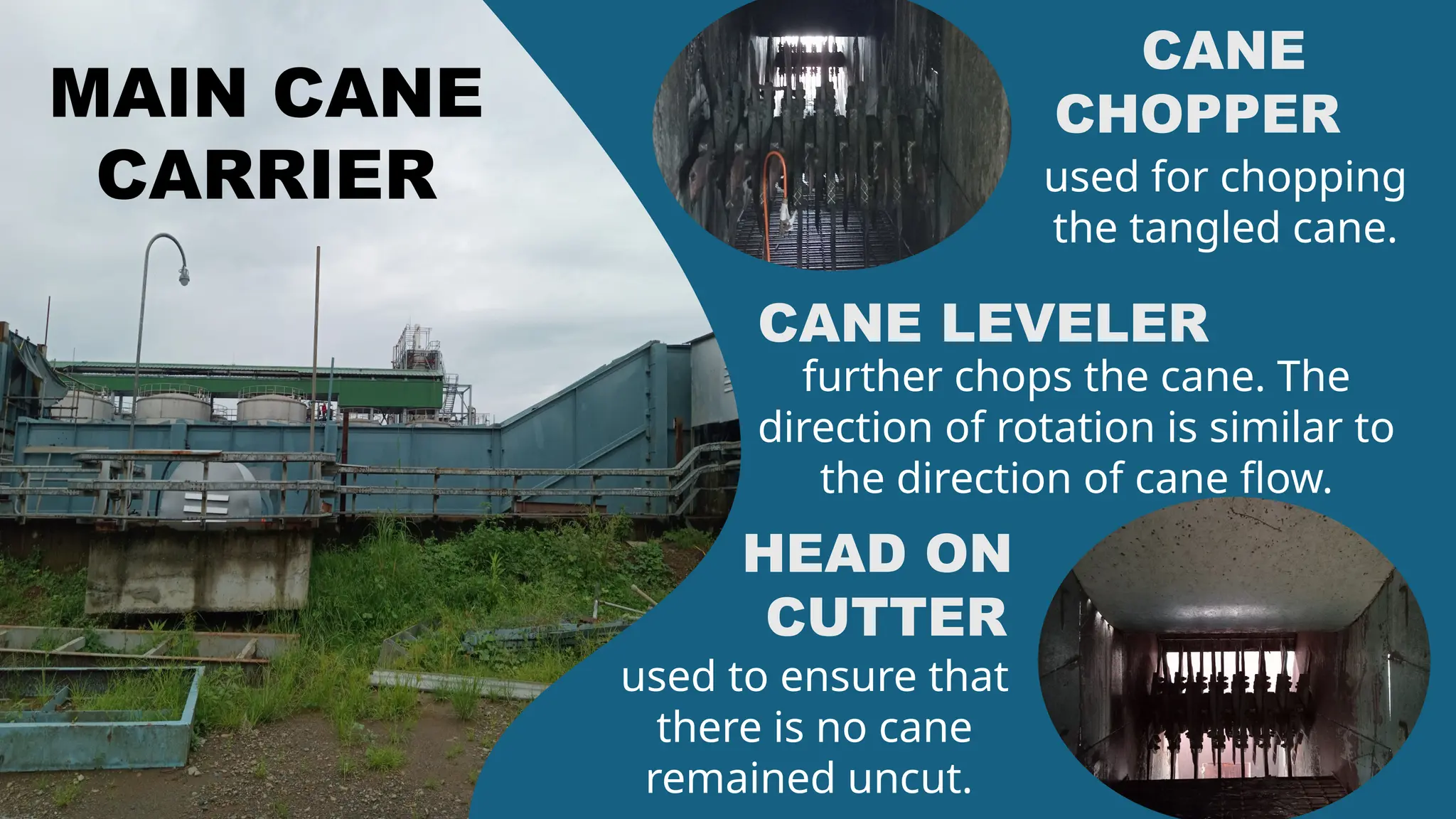 Sugar Cane Milling Presentation includes basic design, process, and ...
