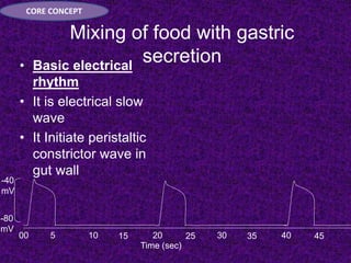 2nd Year_ SGD_Motor functions of stomach, physiology.ppt