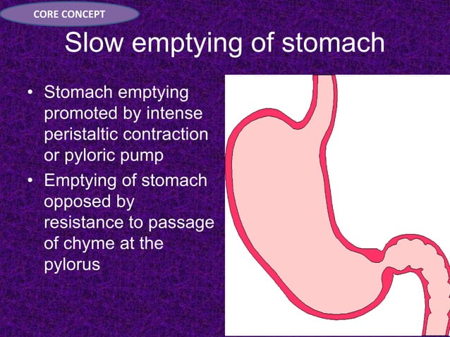2nd Year_ SGD_Motor functions of stomach, physiology.ppt