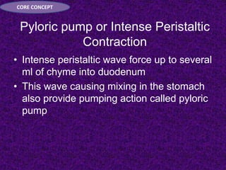 2nd Year_ SGD_Motor functions of stomach, physiology.ppt