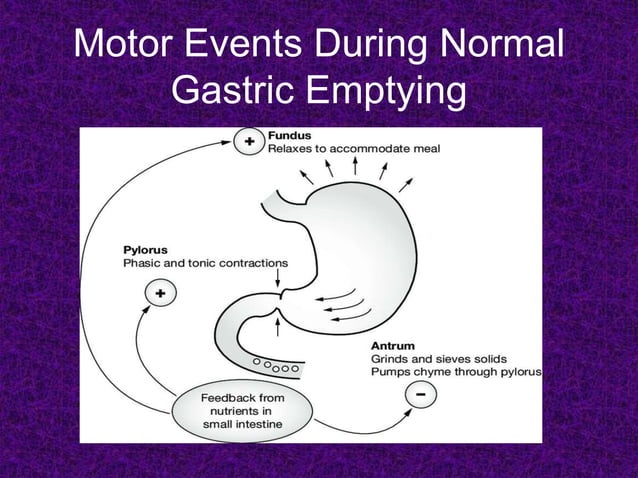 2nd Year_ SGD_Motor functions of stomach, physiology.ppt