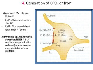 2nd year small group discussion Synapse and sensory receptors.pptx