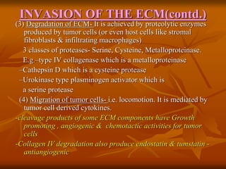 Neoplasia: Metastasis | PPT