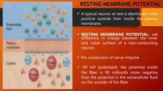 NERVE PHYSIOLOGY | PPTX