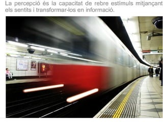 2n eso LA COMUNICACIÓ VISUAL 1ª PART | PPT