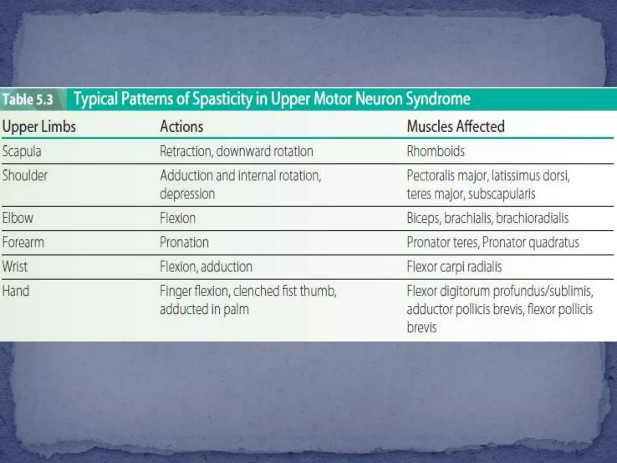 Muscle tone and Deep tendon reflex assessment | PPTX