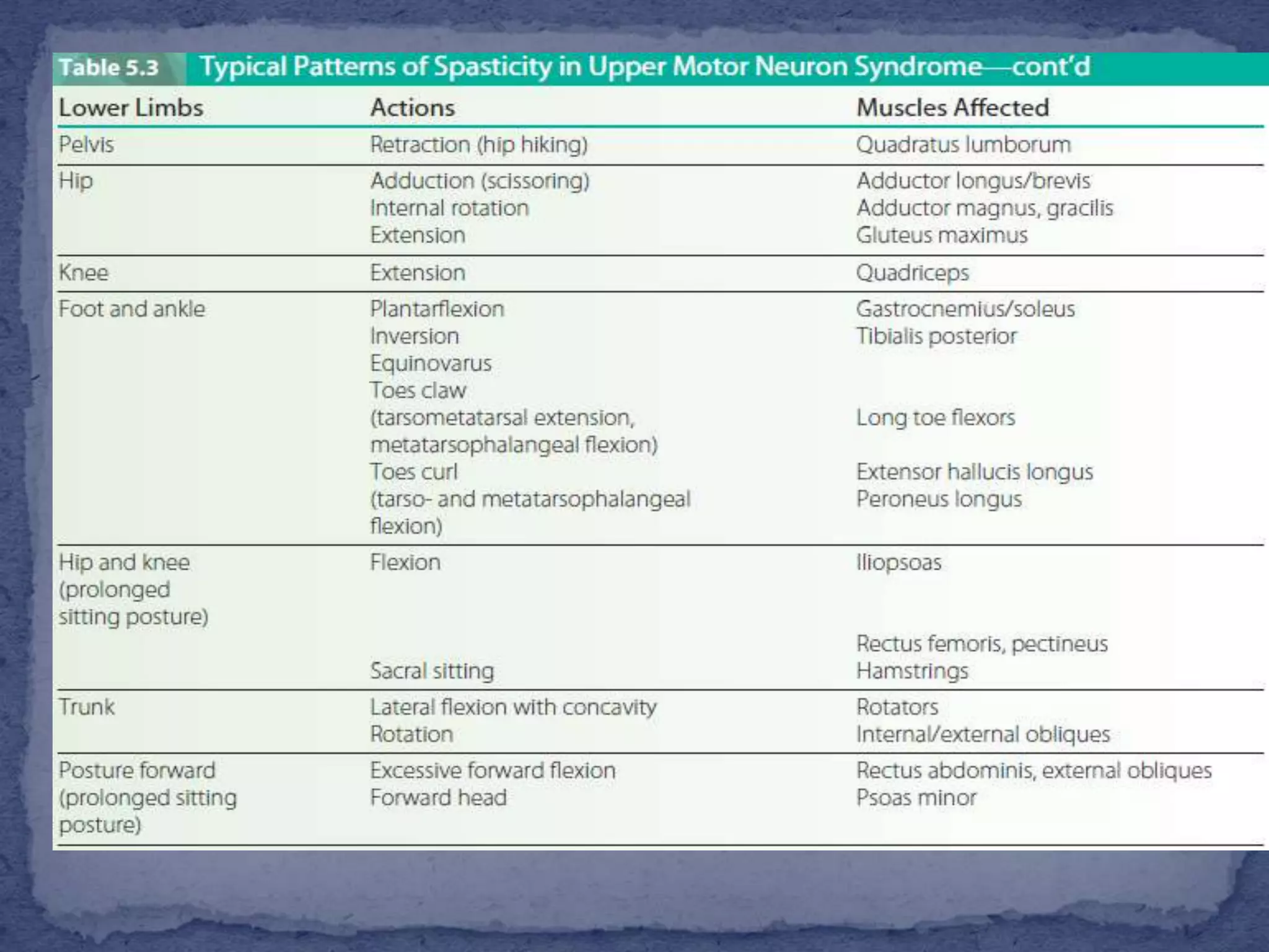 Muscle tone and Deep tendon reflex assessment | PPTX