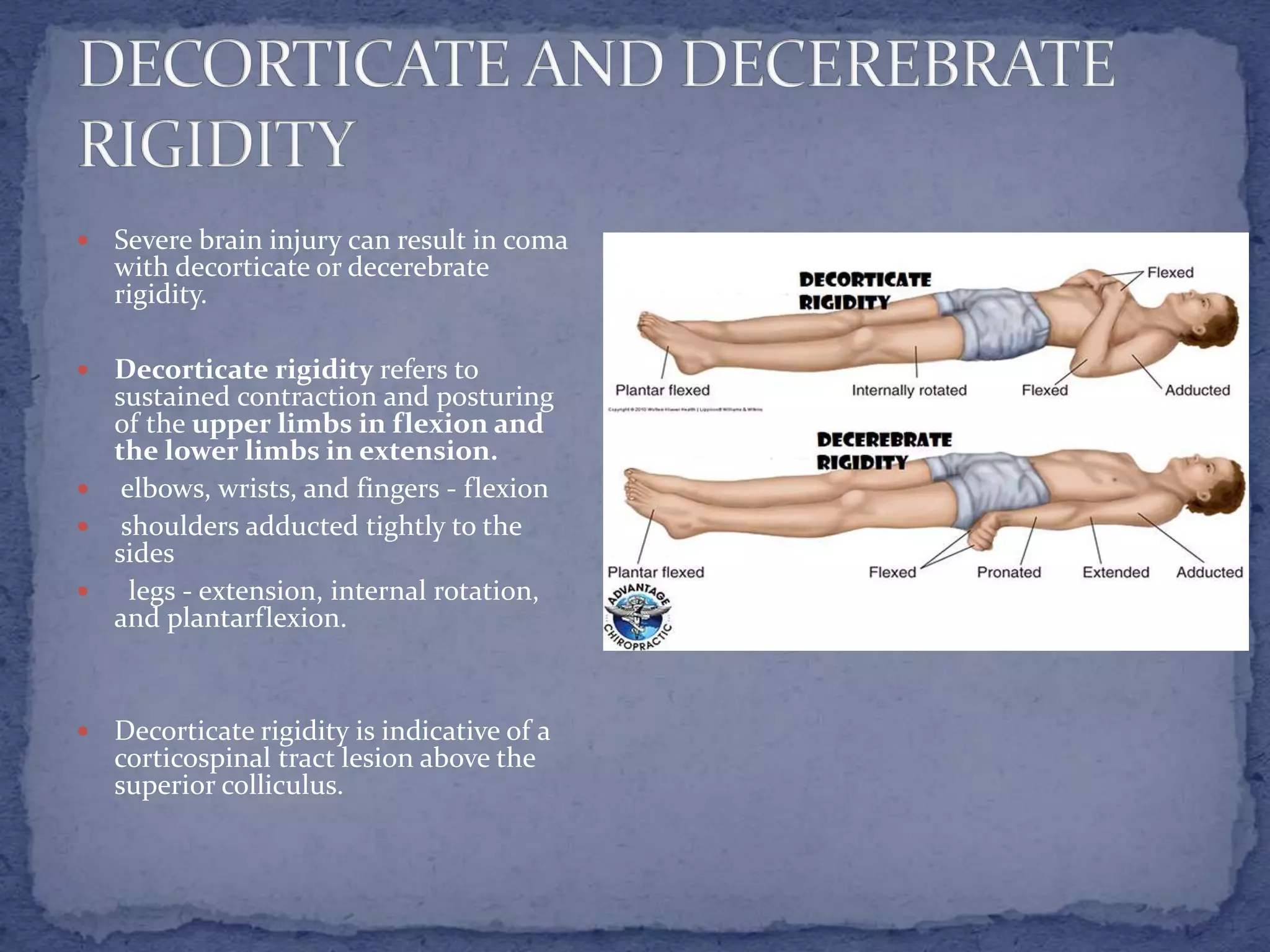 Muscle tone and Deep tendon reflex assessment | PPTX
