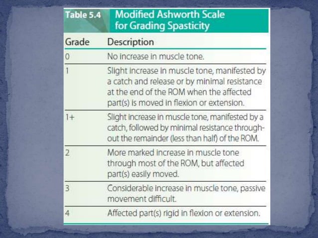 Muscle tone and Deep tendon reflex assessment | PPTX