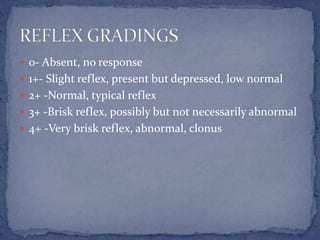 Muscle tone and Deep tendon reflex assessment | PPTX