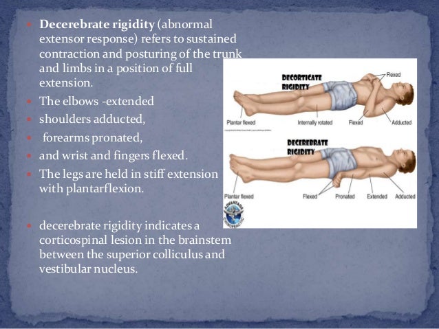 Muscle tone and Deep tendon reflex assessment