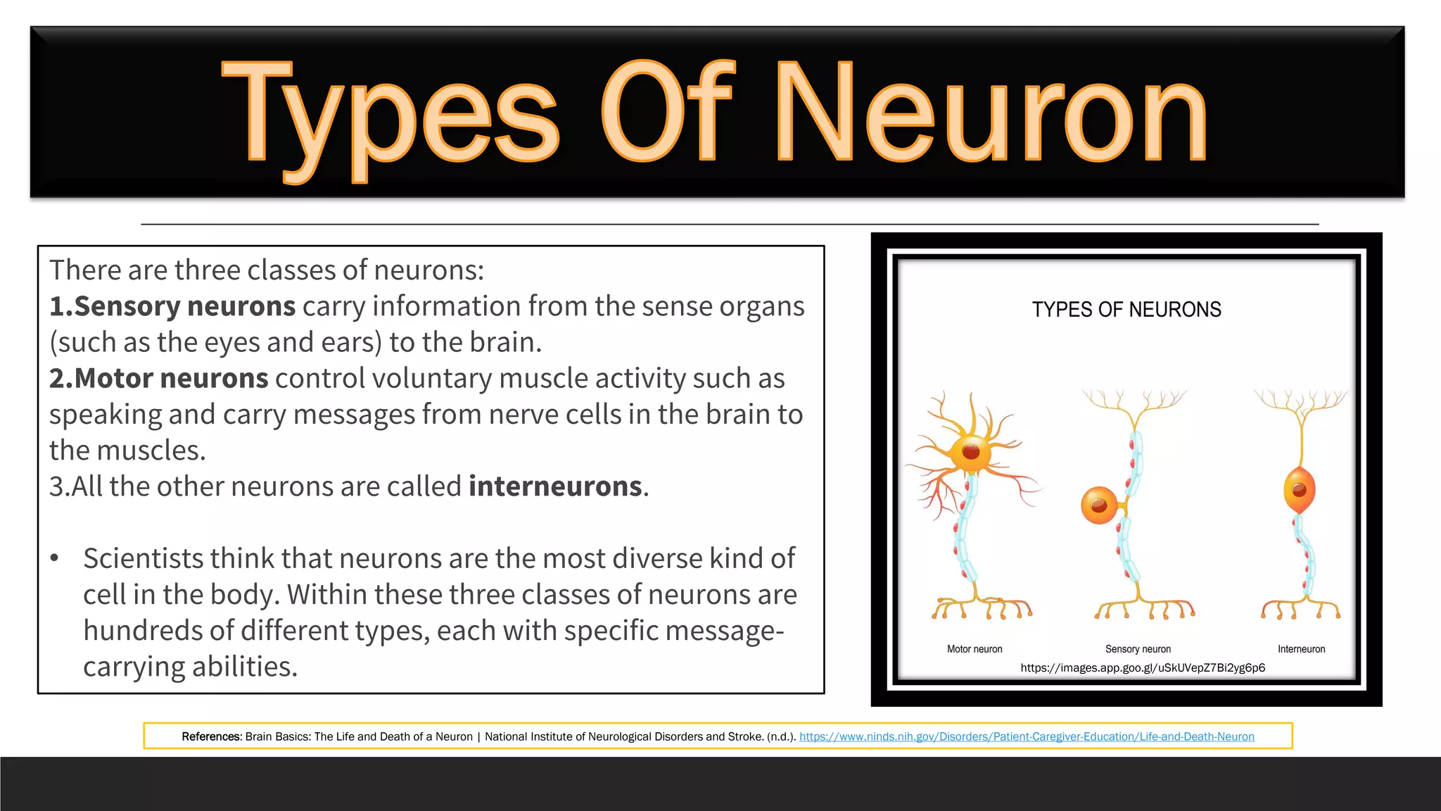 Neuron.pdf