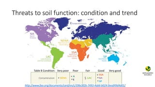 Soil pollution on agricultural fields and other land uses | PPTX