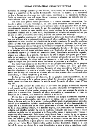 Capítulo 28. plexos vegetativos abdominopélvicos | PDF