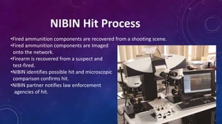 NIBIN | PPT