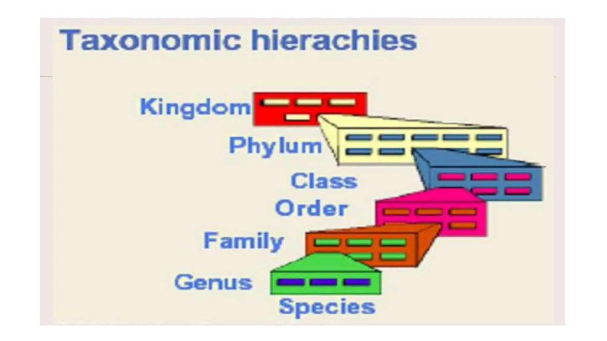 Nomenclature and Classification of bacteria | PPTX
