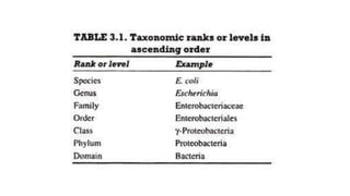 Nomenclature and Classification of bacteria | PPTX