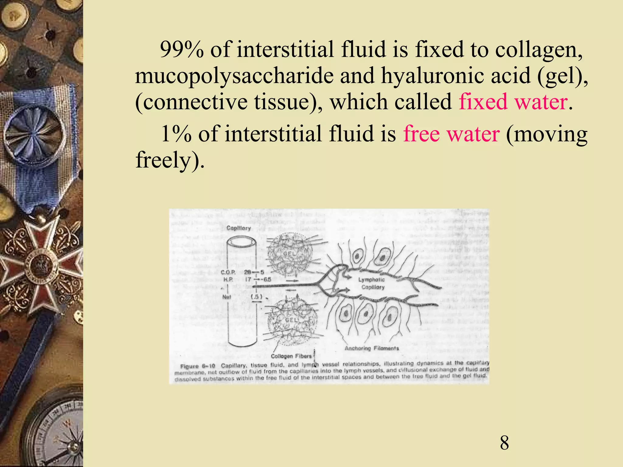 2 normalmetabolismofwaterandsodium | PPT