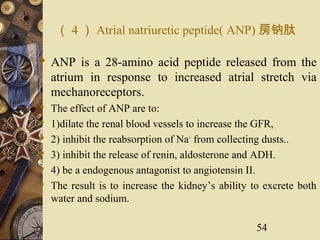 2 normalmetabolismofwaterandsodium | PPT