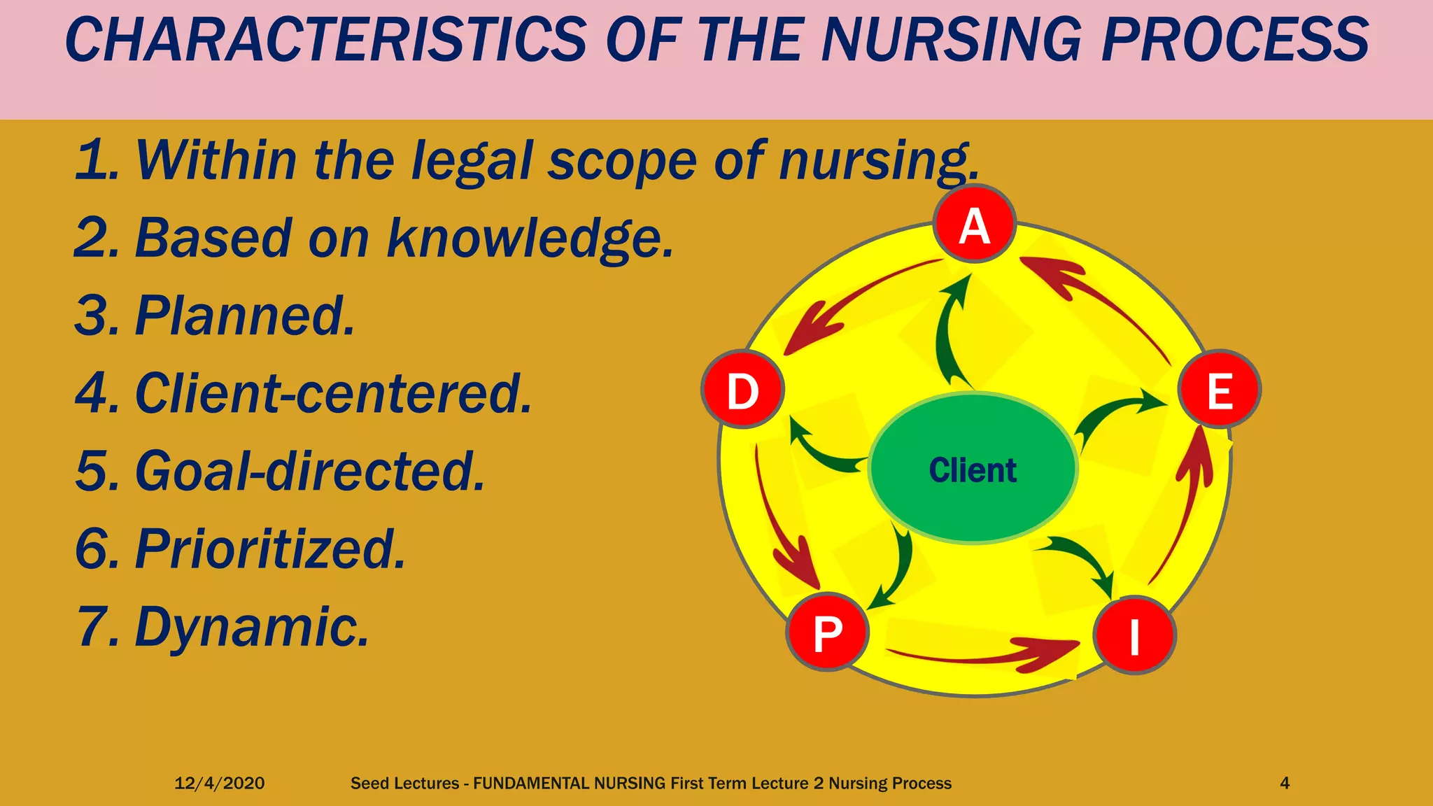 2 nursing process | PDF
