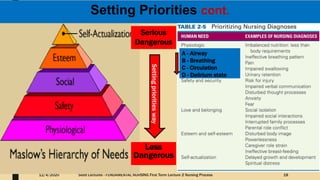 2 nursing process | PDF