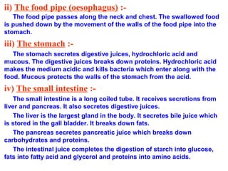 2nutritioninanimals-140904043624-phpapp01.pdf