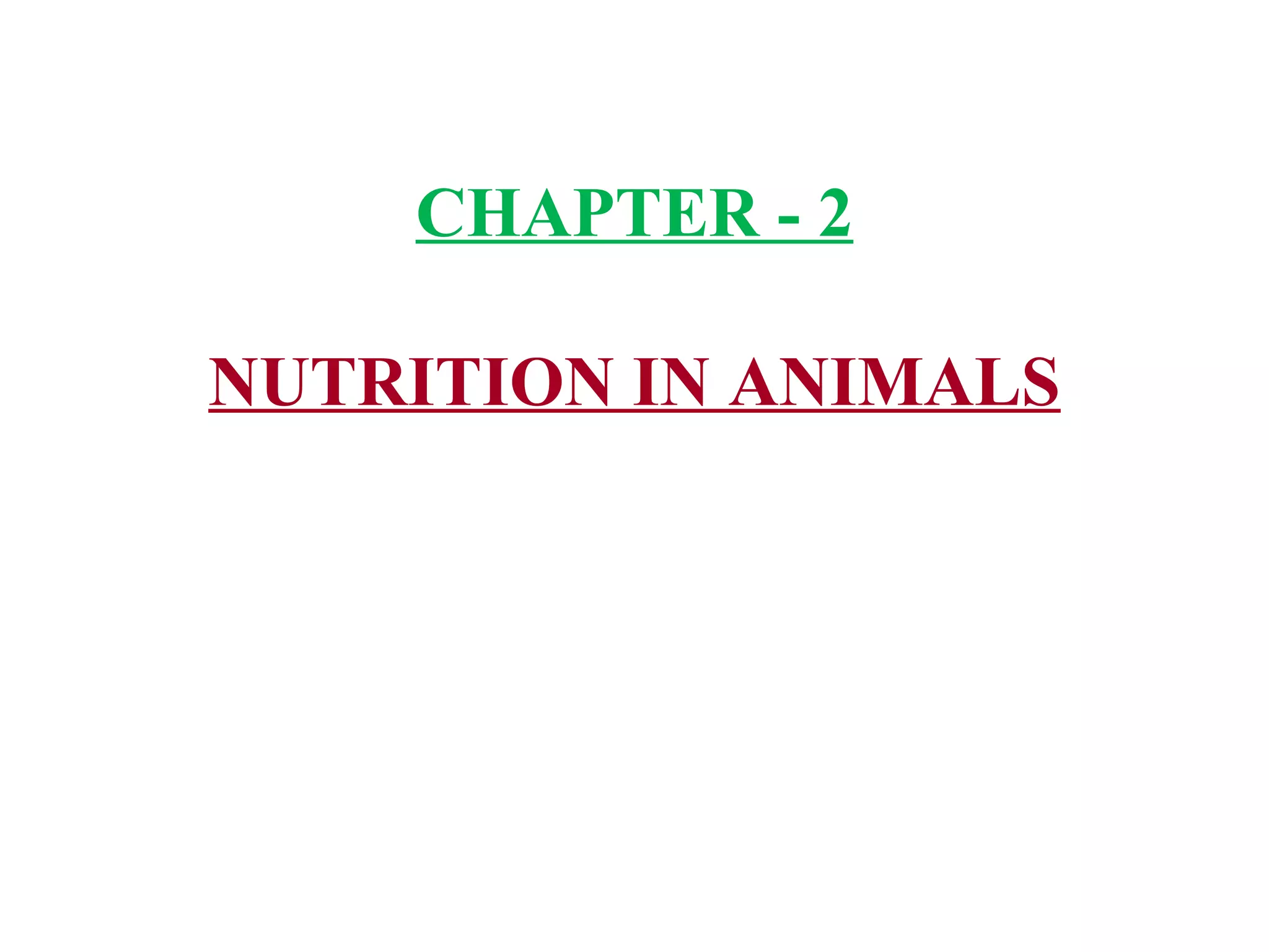 Nutrition in Animal | PPT