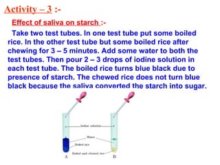 Nutrition in Animal | PPT