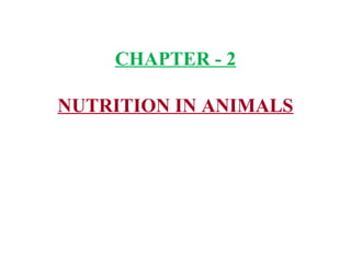 Nutrition in Animal | PPT