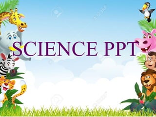 nutrition in animals | PPT