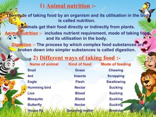 nutrition in animals | PPT
