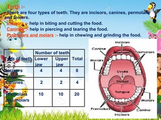 nutrition in animals | PPT