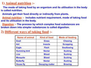 Class-7 science Chapter-2 Nutrition in animals | PPT