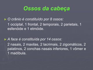 2o ano em biologia - simone - aula de anatomia - sistema esqueletico | PDF