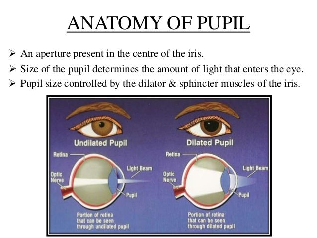 Examination of pupil by pushkar dhir