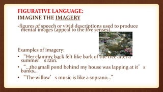 FIGURATIVE_LANGUAGE__LITERARY_DEVICES.pptx