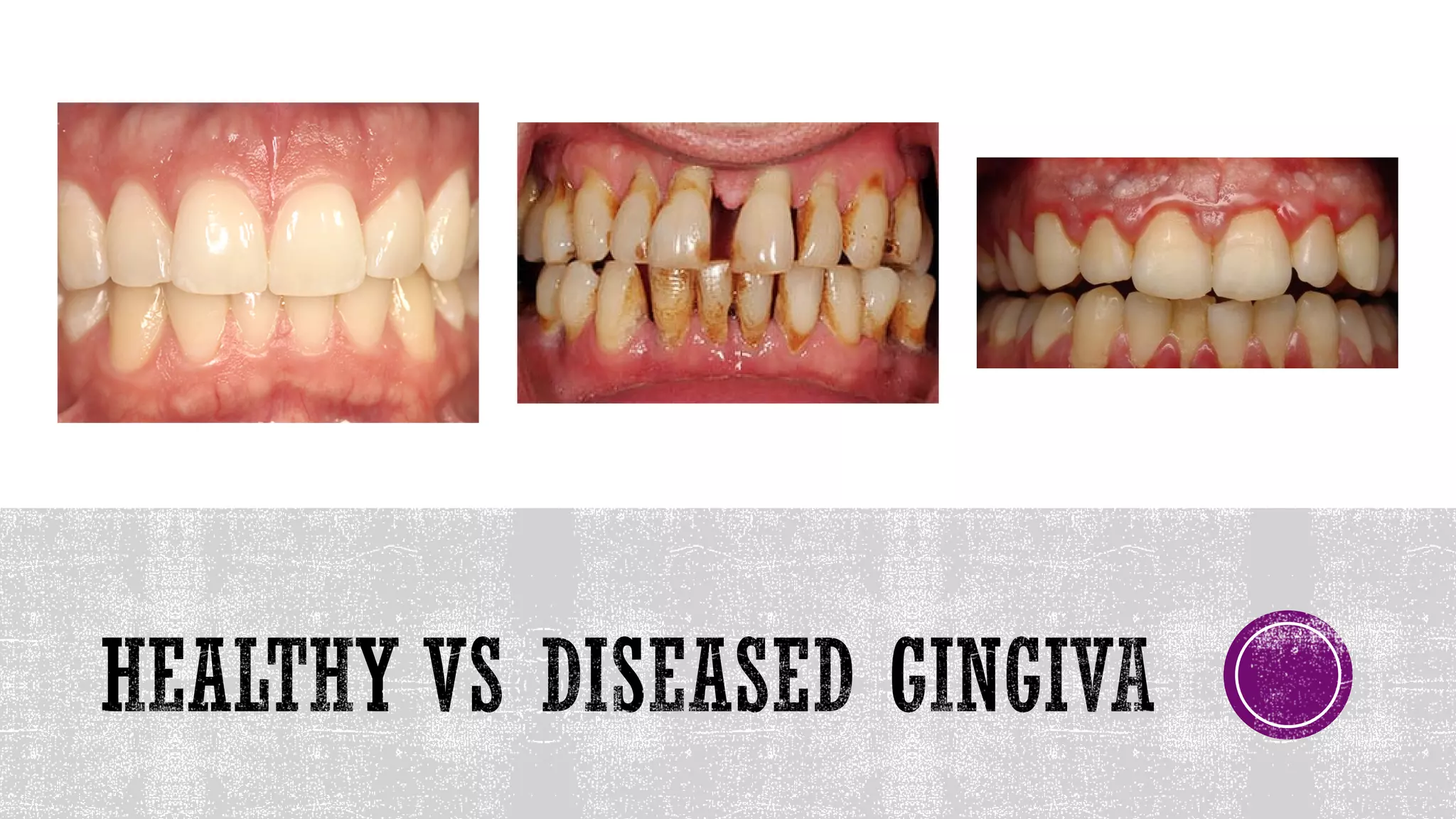 Orofacial Structures | PDF